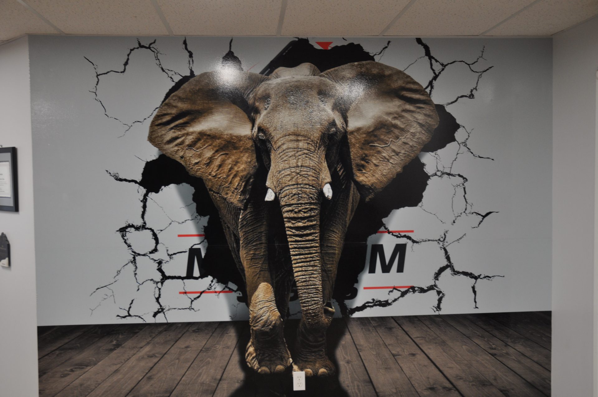 Maximum Signs finds road to success - Sign Media Canada
