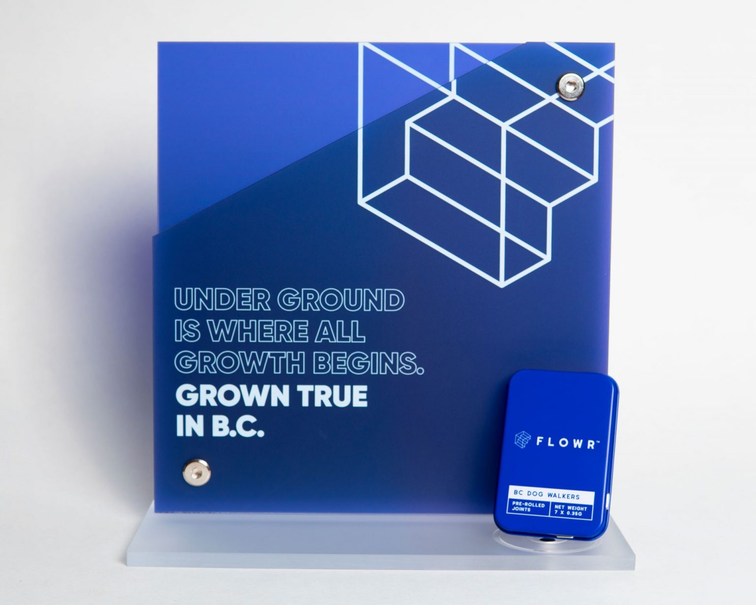 Creating an engaging product environment: How POP displays can enhance the consumer connection ...