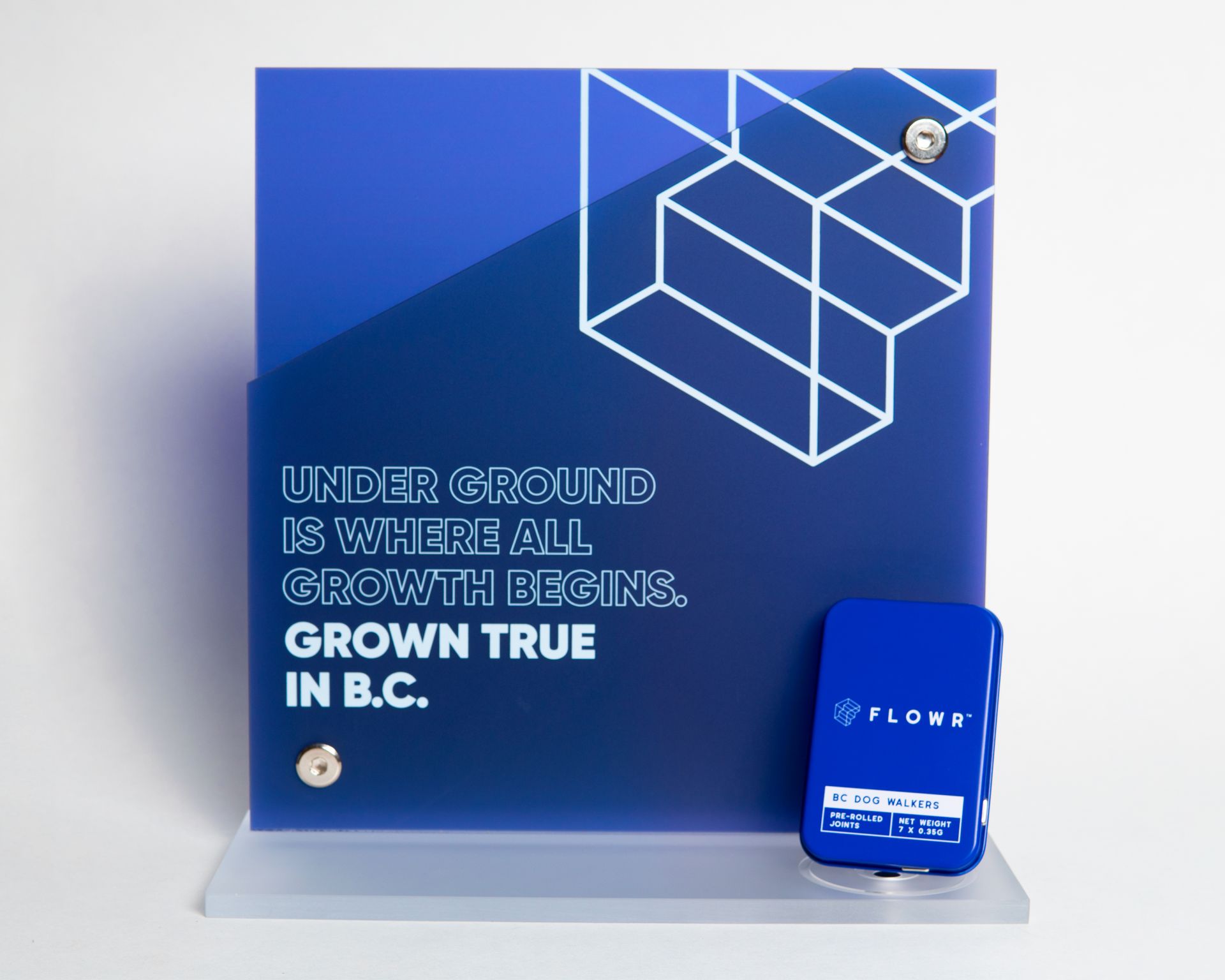 Creating an engaging product environment: How POP displays can enhance ...